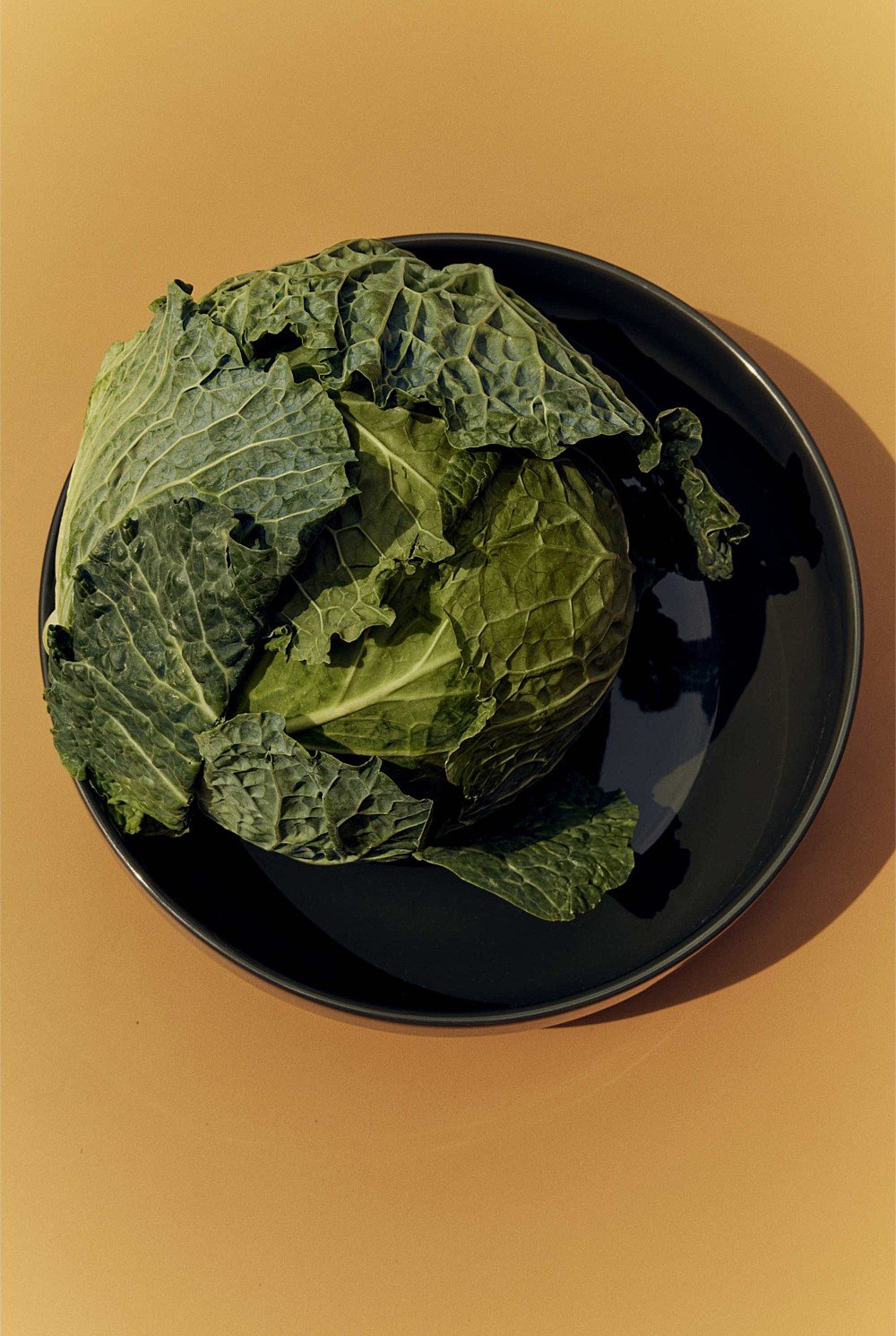 Dark Olive Dover Large Salad Bowl - Serving | Country Road